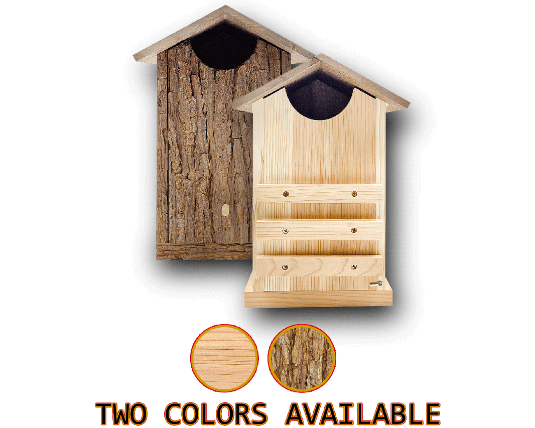 Bats Amore Bat Attractant Spray Special Offer | Outer Trails ...